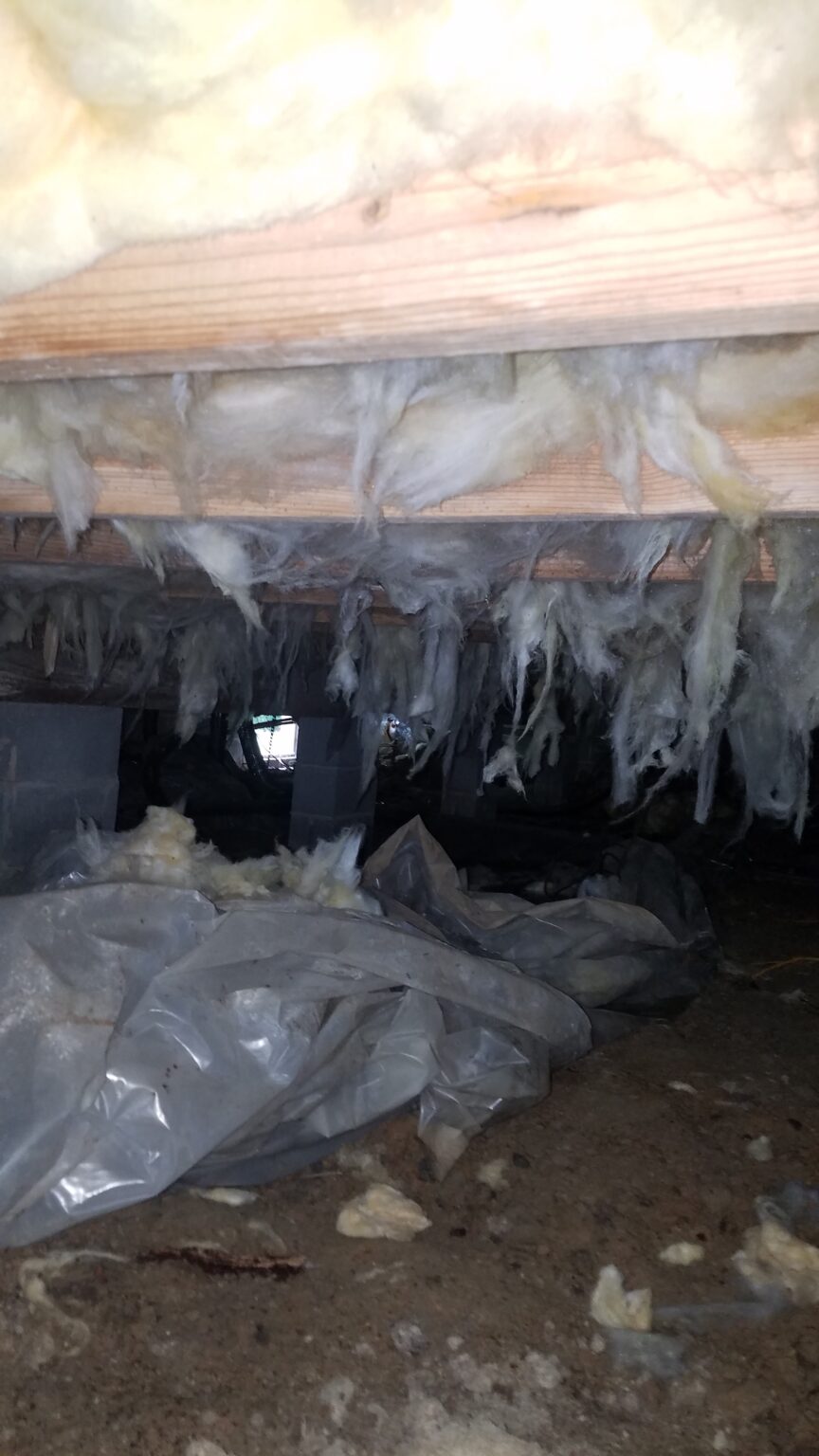 Effective Crawl Space Waterproofing: A Comprehensive Guide - Tiger C ...