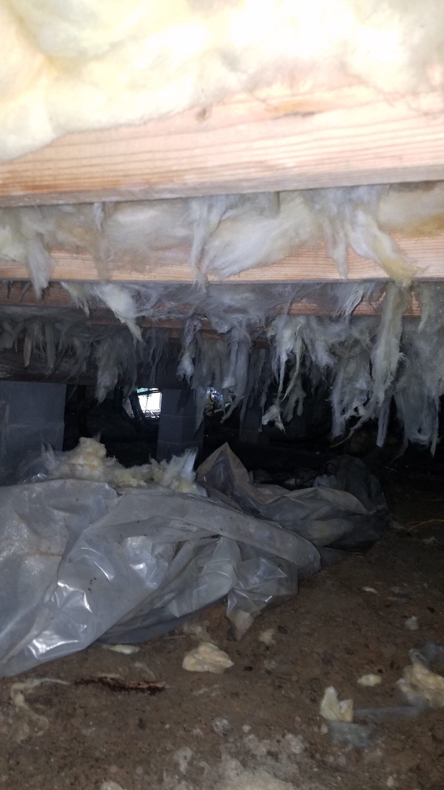 Effective Crawl Space Waterproofing: A Comprehensive Guide - Tiger C ...