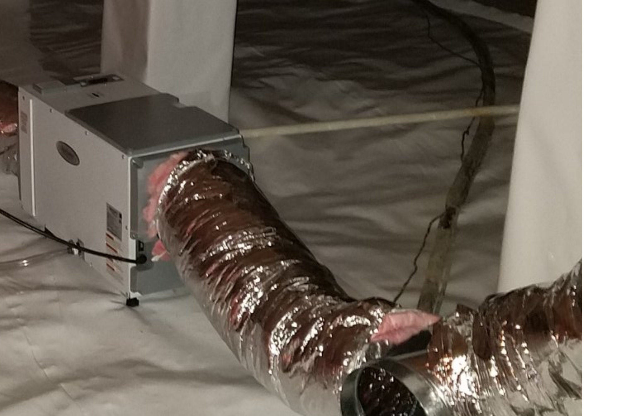 Hidden Dangers Lurking in Crawl Spaces – What You Need to Know